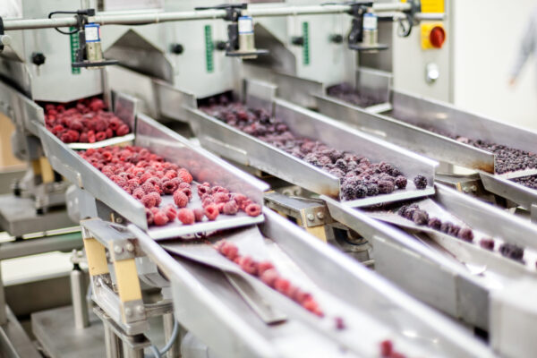 The Importance of Frozen Food Distribution Worldwide | MB Global Foods
